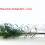 Individually Packaged Seedlings - Plastic Packaging - Evergreen Trees ...